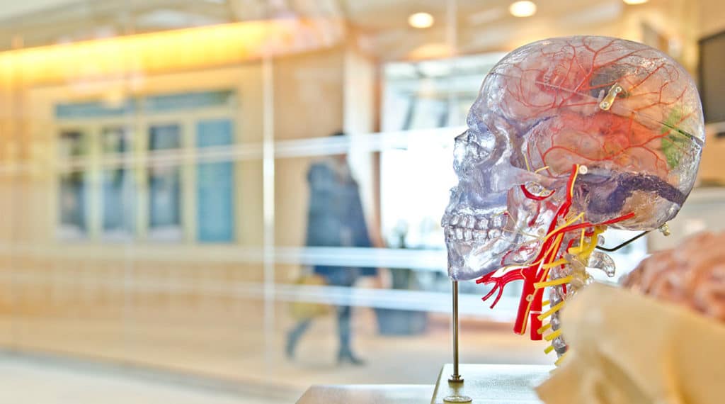 Understanding Teen Brain Development and Behavior